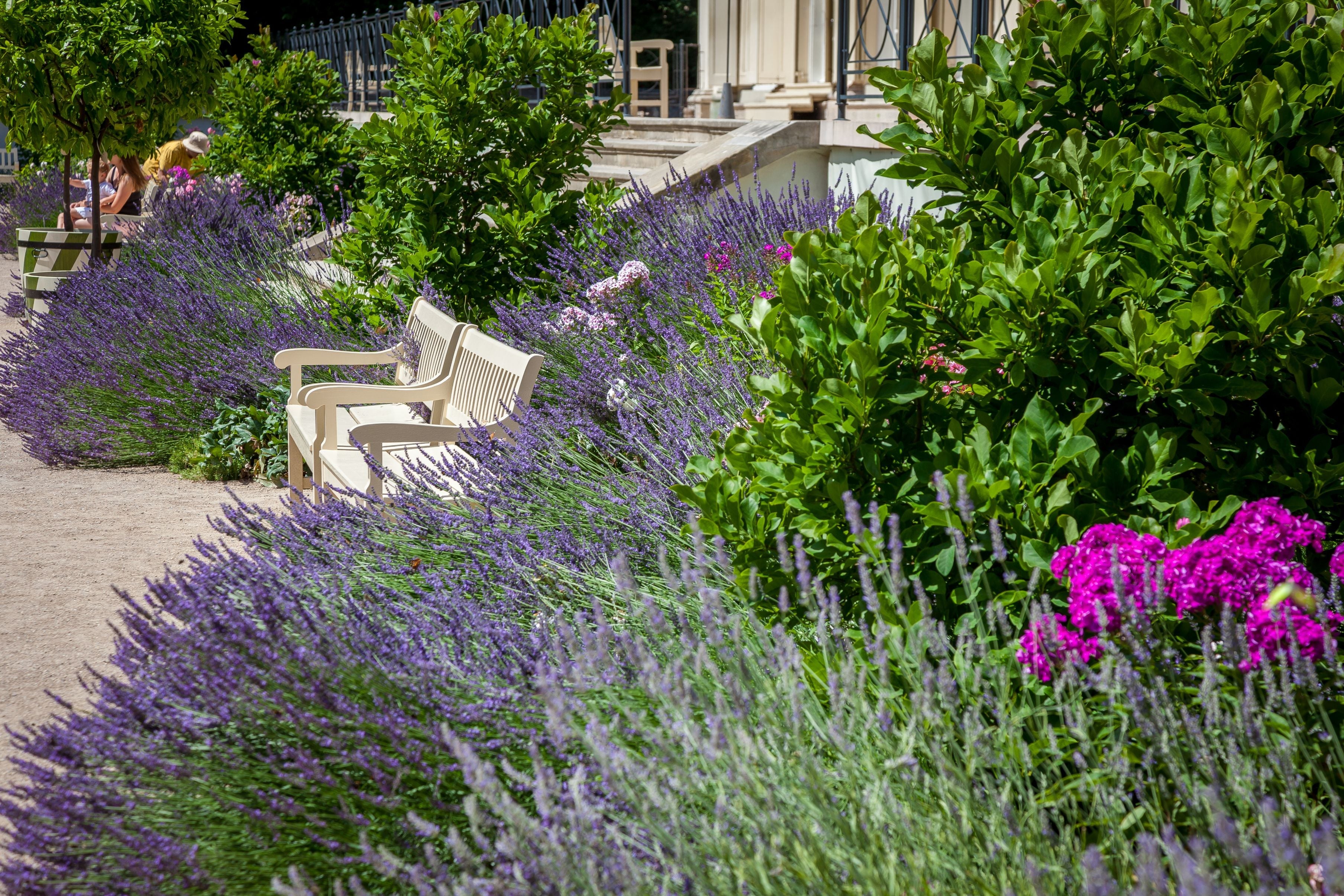 Seaside Sessions – Smarty Plants Nursery